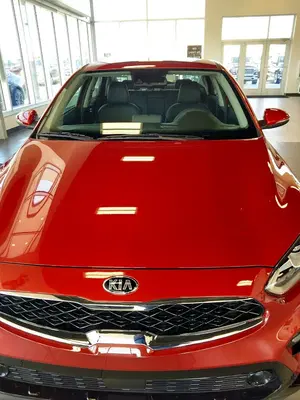 Thelen Auto Group in Bay City, MI - 451 Reviews